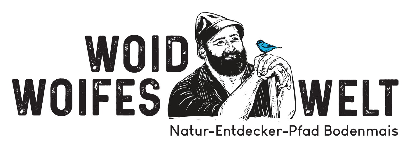 Der Woid Woife aus Bodenmais - Woid Woife